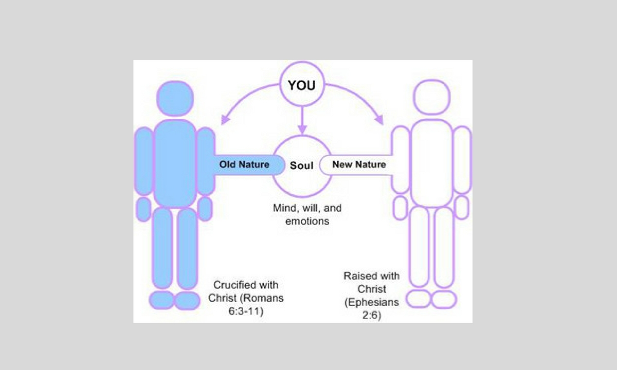 Our Position in Christ