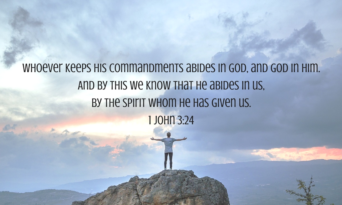 Got Questions Reading Plan: Our Response